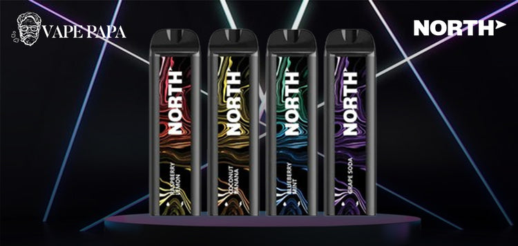 North 5000 Unveiled: A Comprehensive Vaping Guide – Vape papa